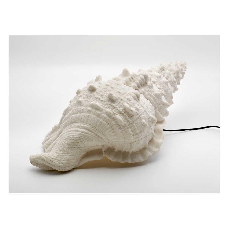 CONCH SHELL LAMP