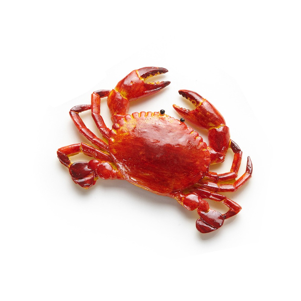 CRAB MAGNET