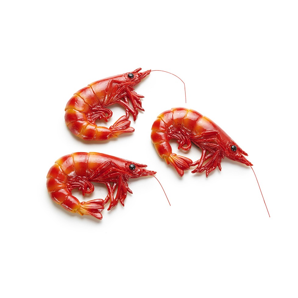 MAGNET SHRIMP